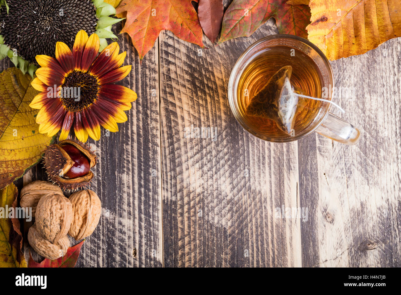 Thanksgiving tea hi-res stock photography and images - Alamy