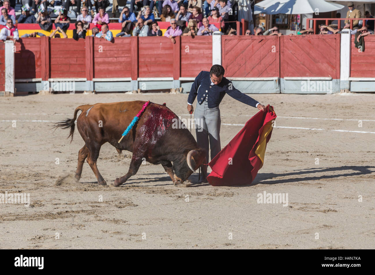 Traditional spanish matador bullfighter hi-res stock photography and ...
