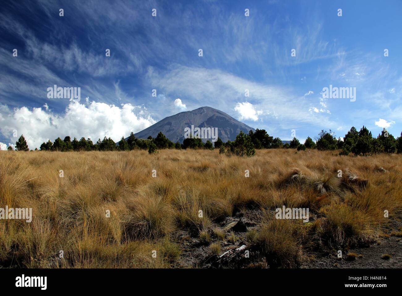 Mexican plains hi-res stock photography and images - Alamy