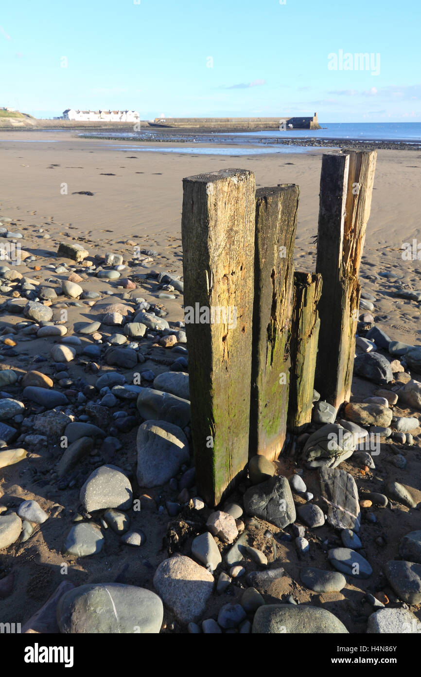 Louth High Resolution Stock Photography and Images - Alamy