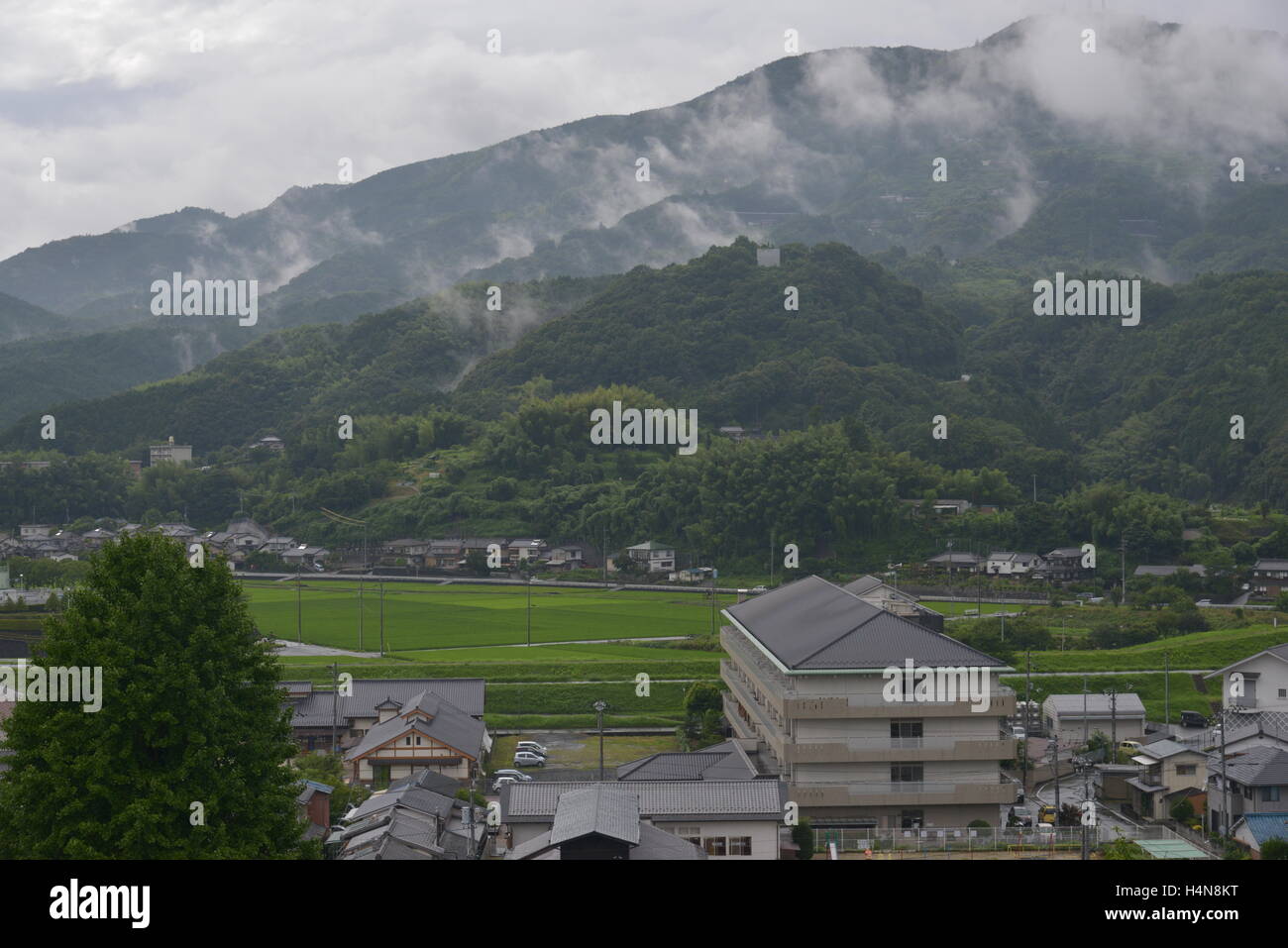 Spot Ozu Castle Japan Stock Photo - Alamy