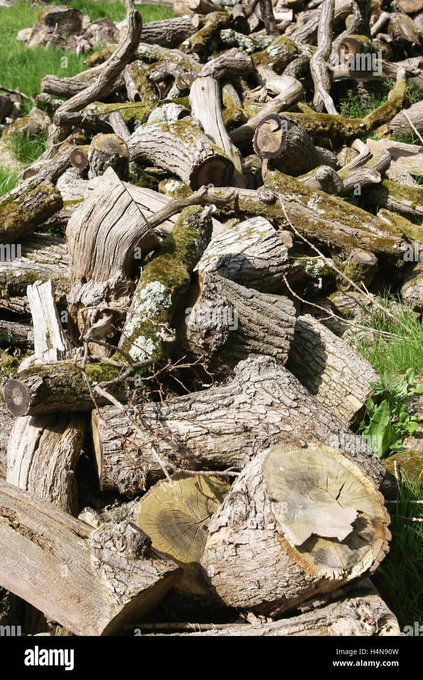 Dead wood log pile for insects hi-res stock photography and images - Alamy