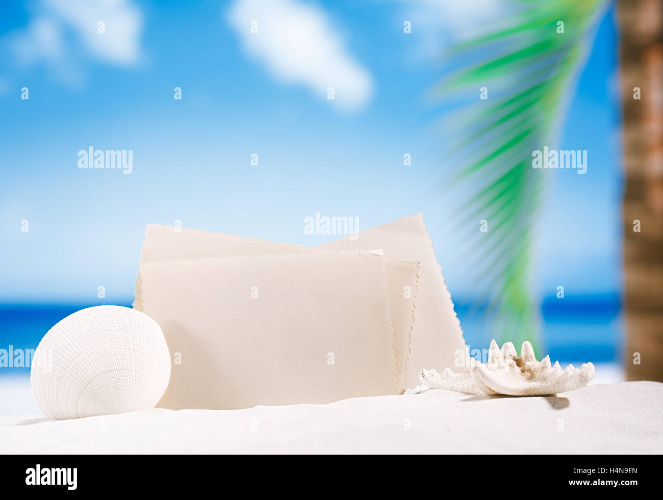 blank retro photo on white sand beach, sky and seascape, shallow dof ...