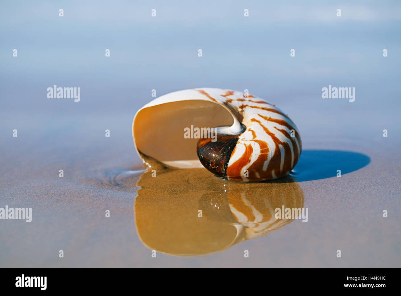 Marocco agadir beach hi-res stock photography and images - Alamy