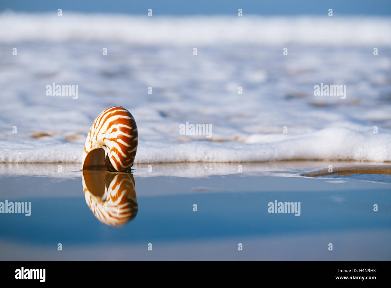 Marocco agadir beach hi-res stock photography and images - Alamy