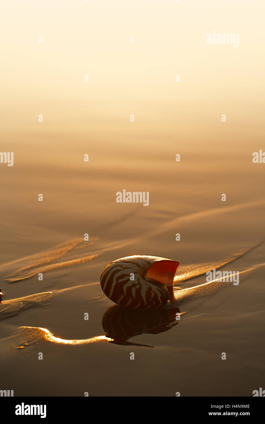 Marocco nobody hi-res stock photography and images - Alamy