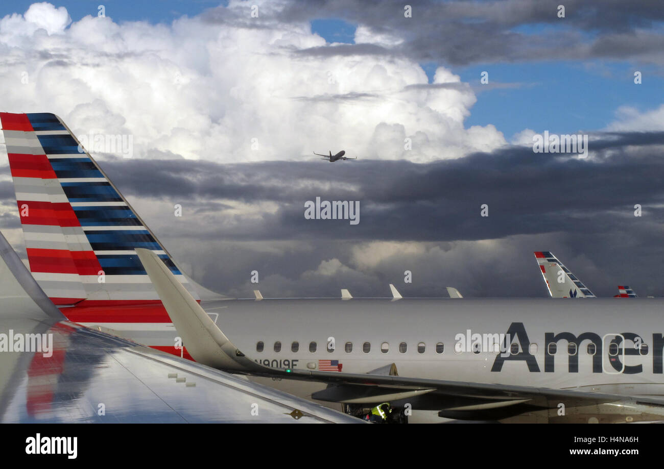 american airlines, boeing, b 767, aircraft, airplane, plane, wing ...