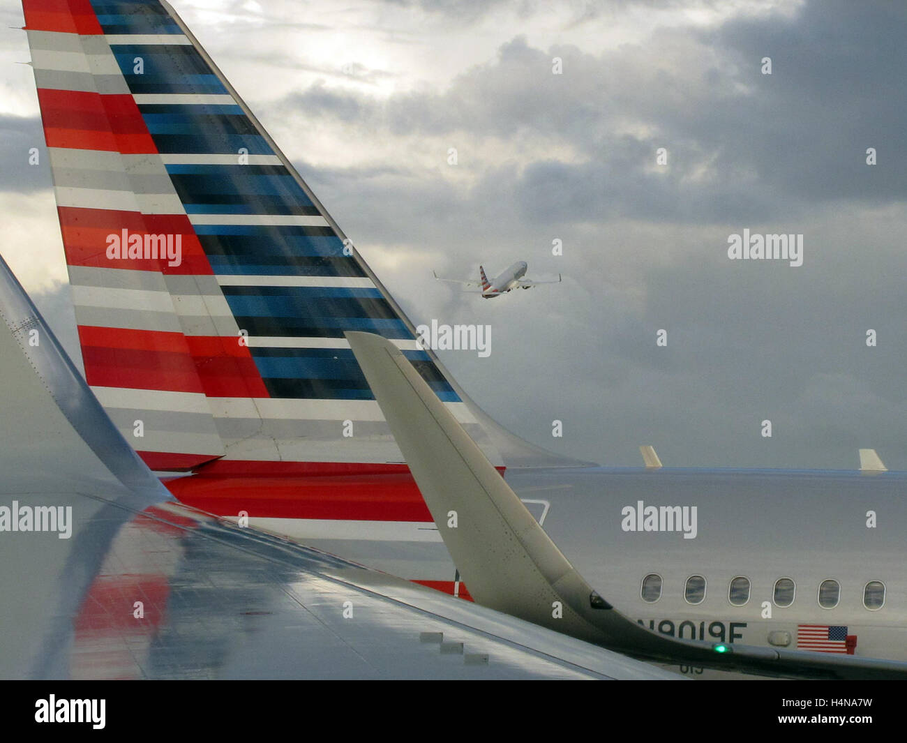 american airlines, boeing, b 767, aircraft, airplane, plane, wing ...