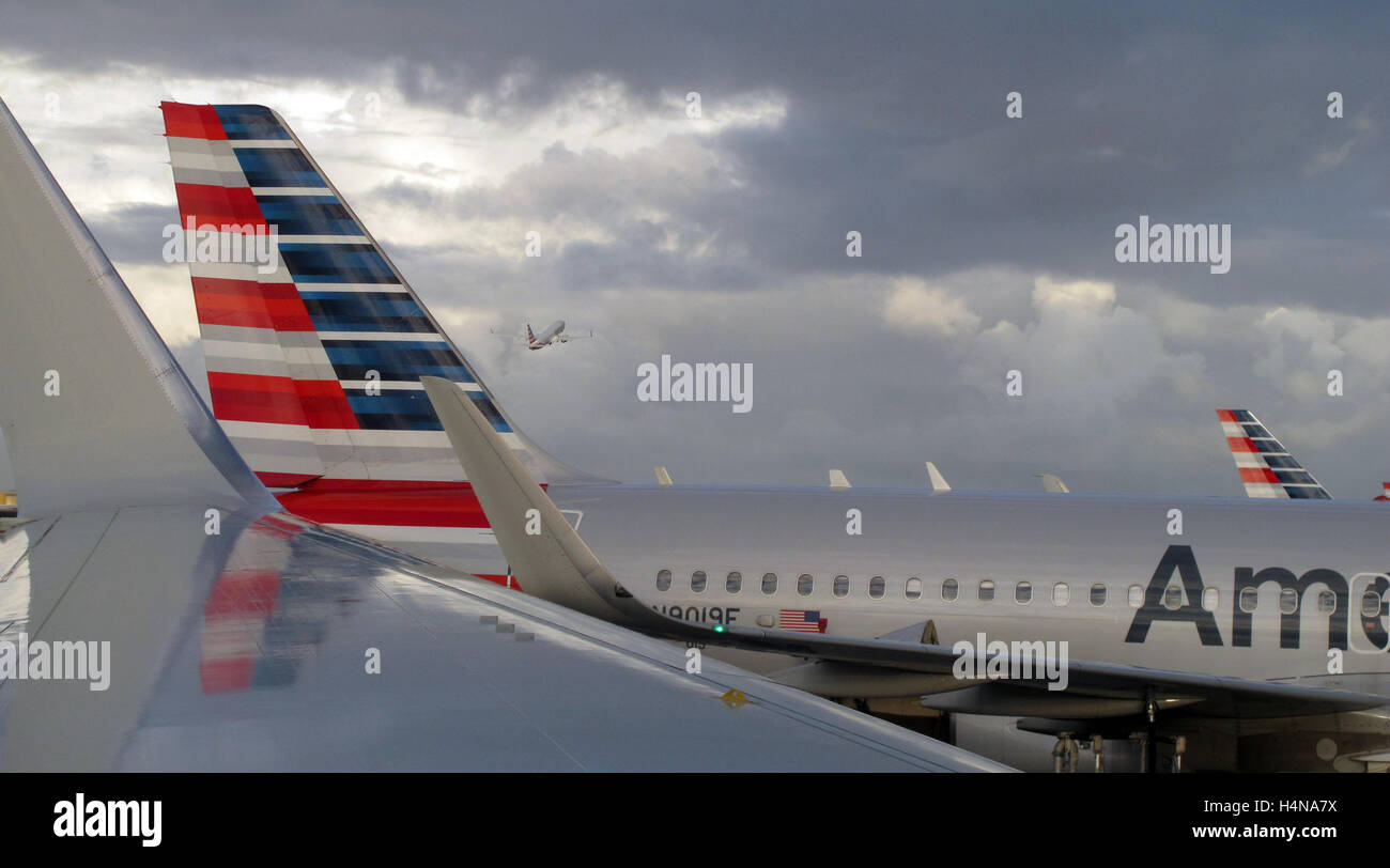american airlines, boeing, b 767, aircraft, airplane, plane, wing ...
