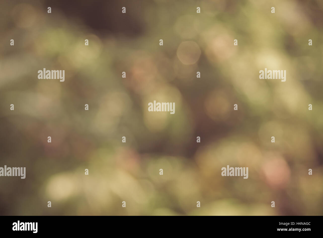 Bokeh background, green abstract colorful defocused circular Stock ...