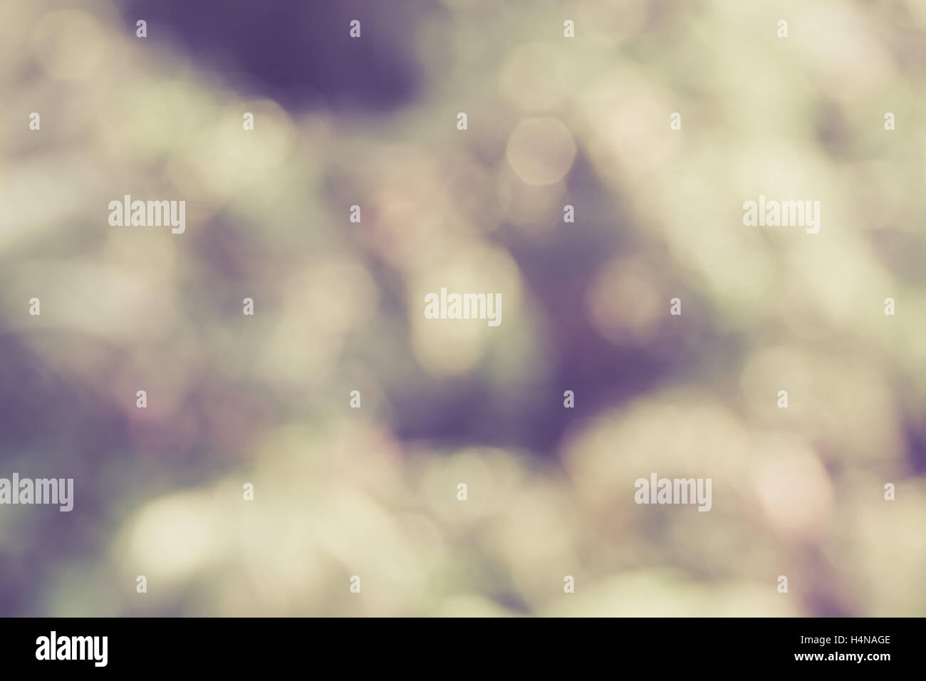 Bokeh background, soft green abstract colorful defocused circular Stock ...