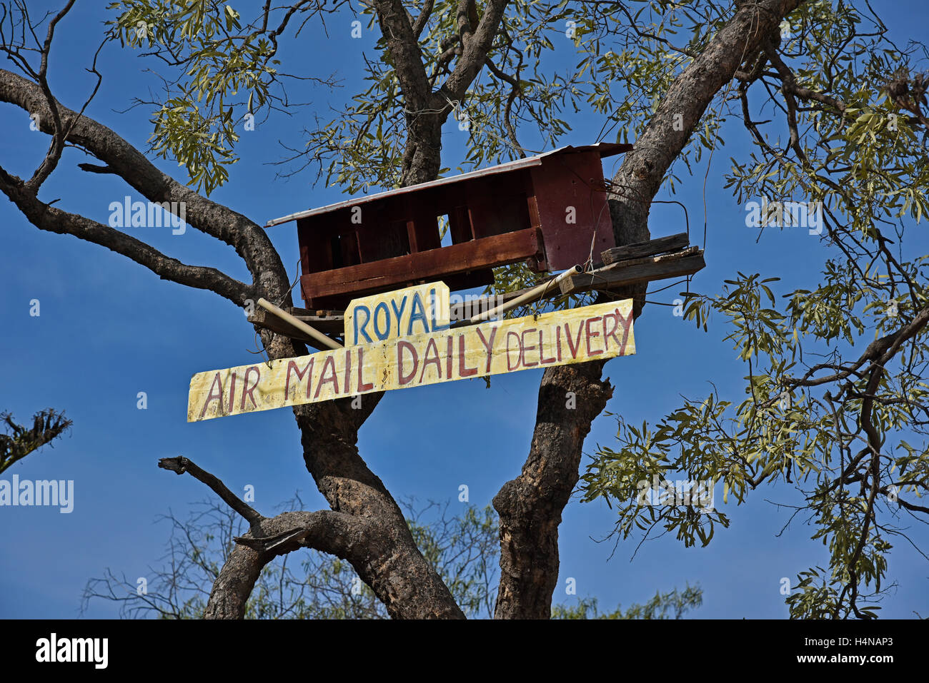 humorous model of royal post office up in tree in lightning ridge, an ...