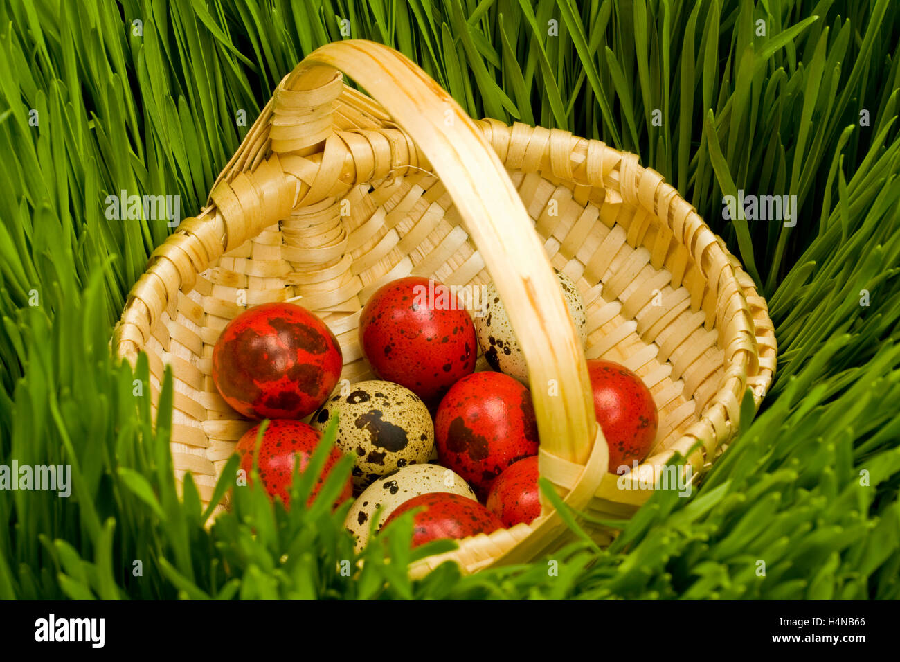 Easter eggs in basket on grass Stock Photo - Alamy