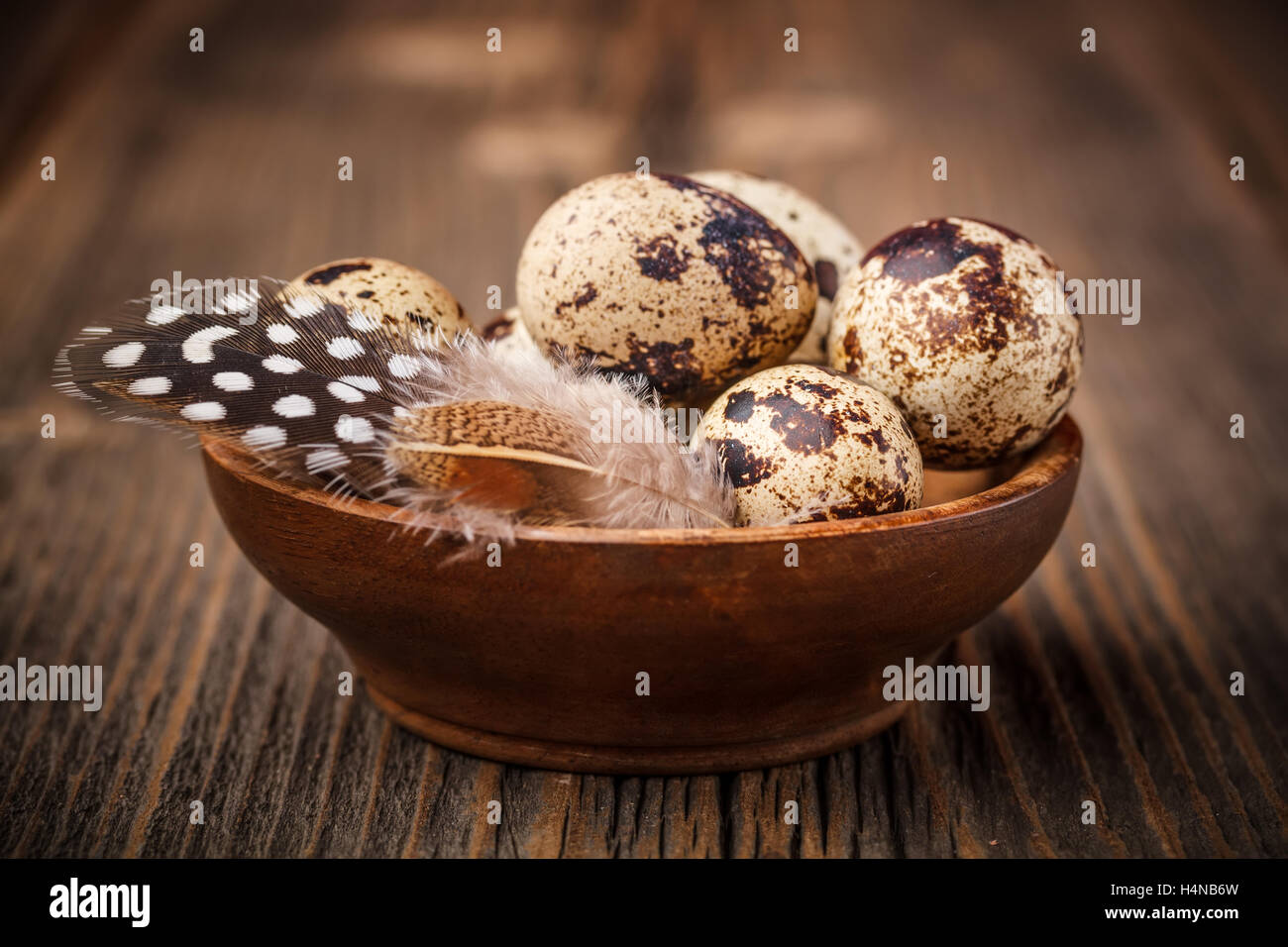 Rustic quail eggs bird hi-res stock photography and images - Alamy
