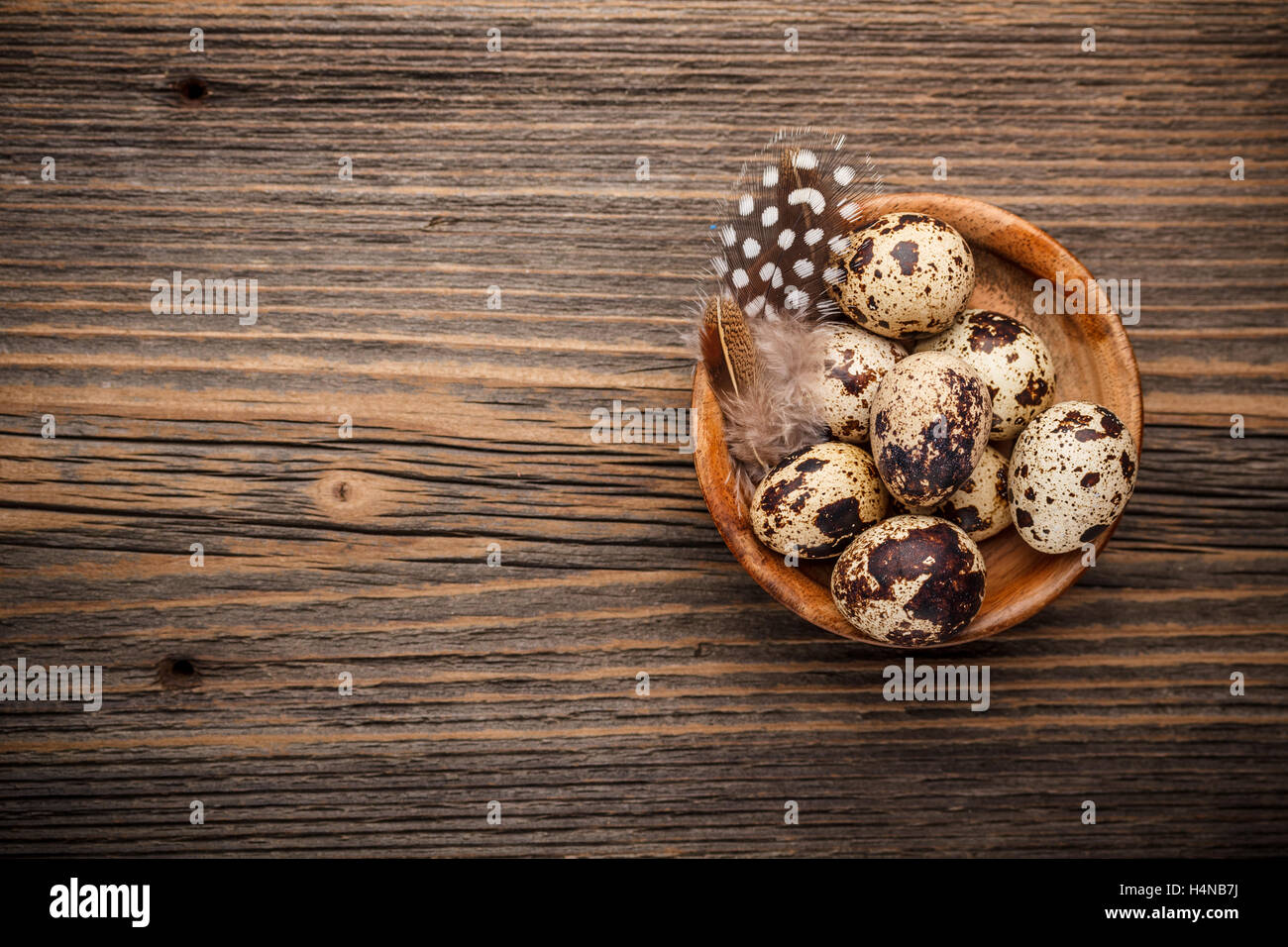 Pen shell hi-res stock photography and images - Alamy