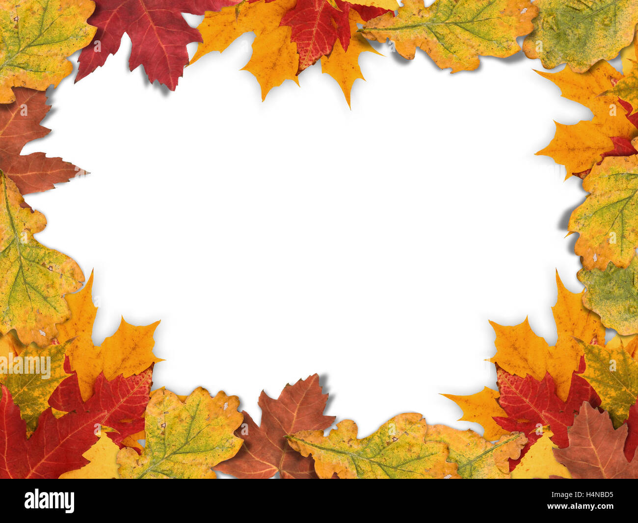 Autumn frame made out of different autumn leaves Stock Photo - Alamy