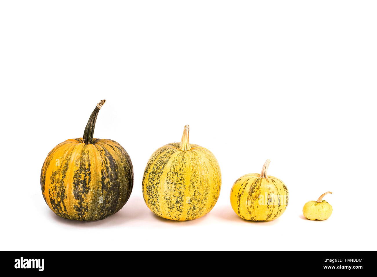 Different size hi-res stock photography and images - Alamy