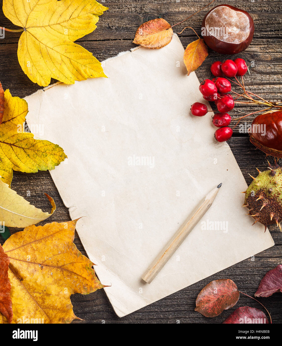 Old paper with autumn leaves hi-res stock photography and images - Alamy