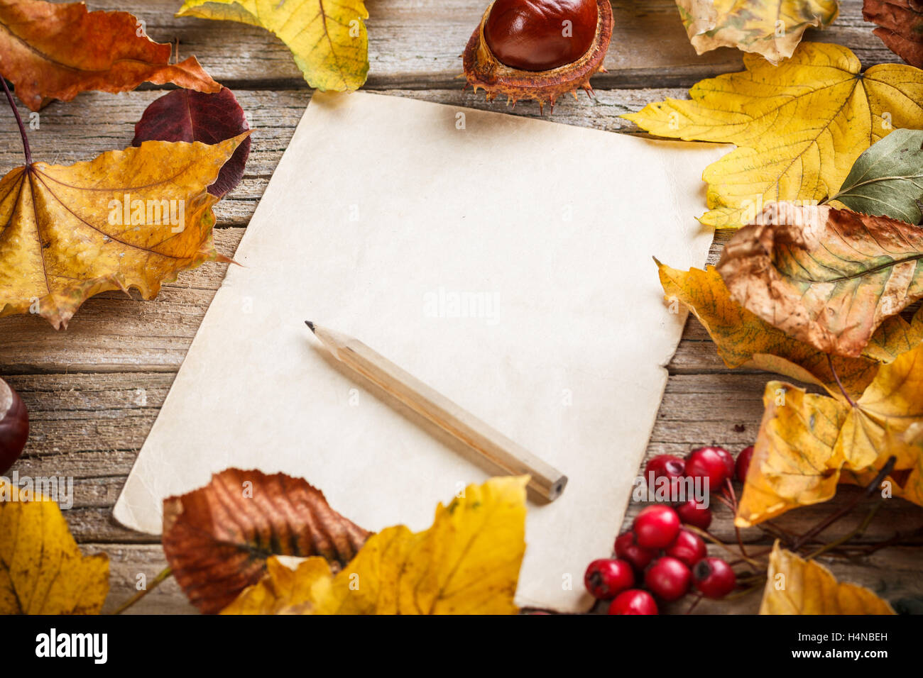 Blank paper autumn leaves pencil hi-res stock photography and images ...