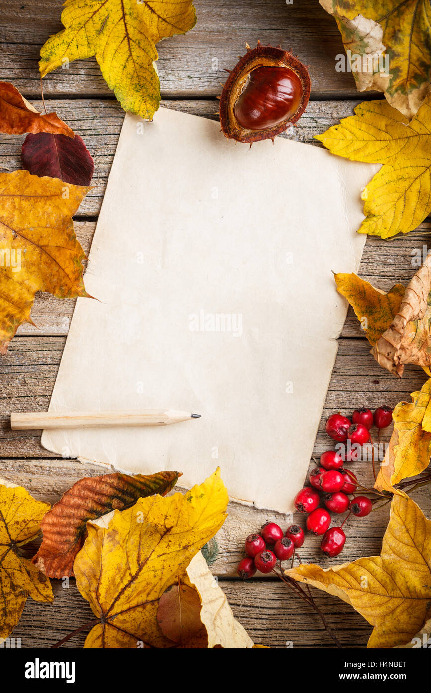 Paper art leaves hi-res stock photography and images - Alamy