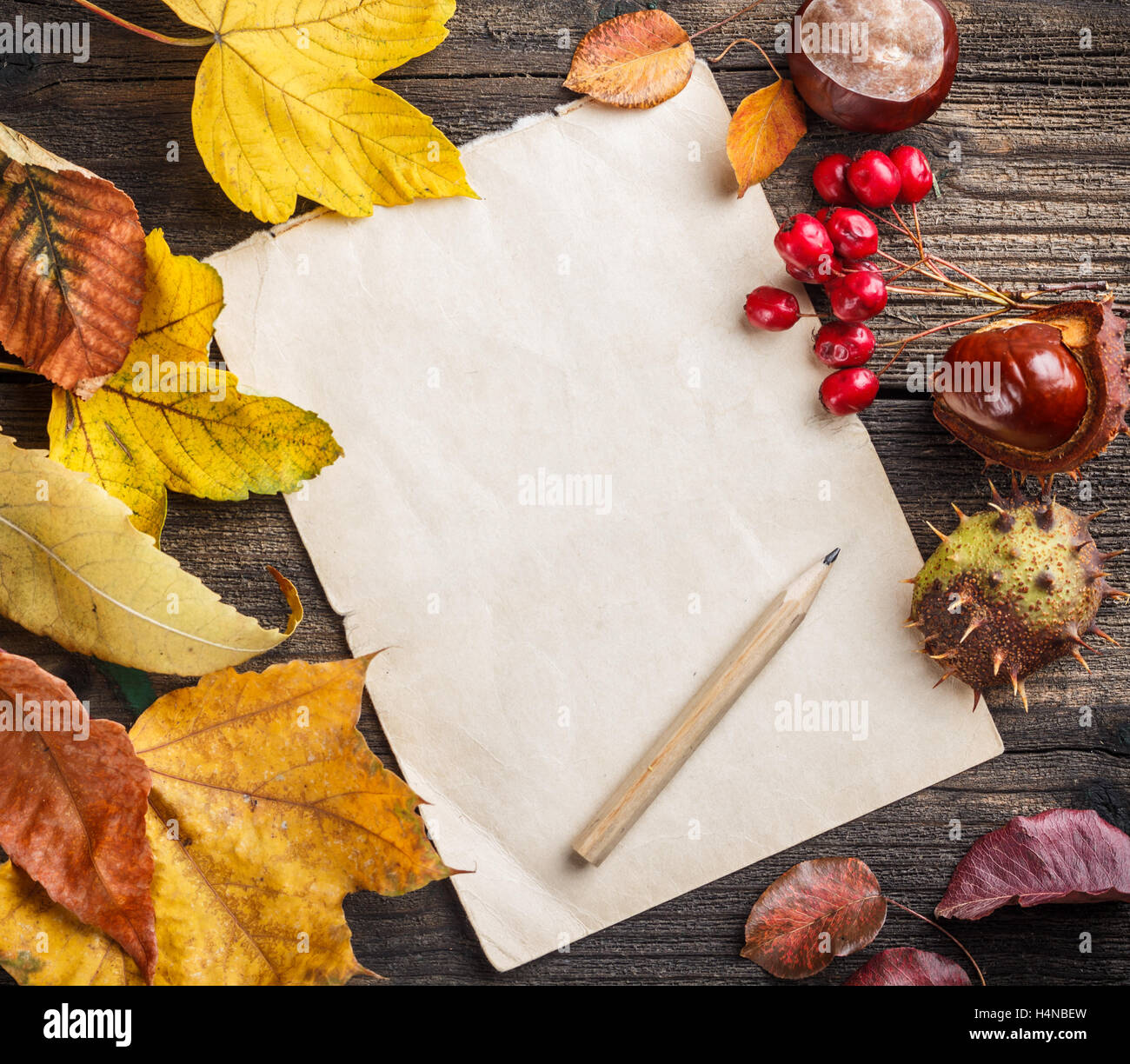 Autumn leaves on the old paper sheet Stock Photo - Alamy