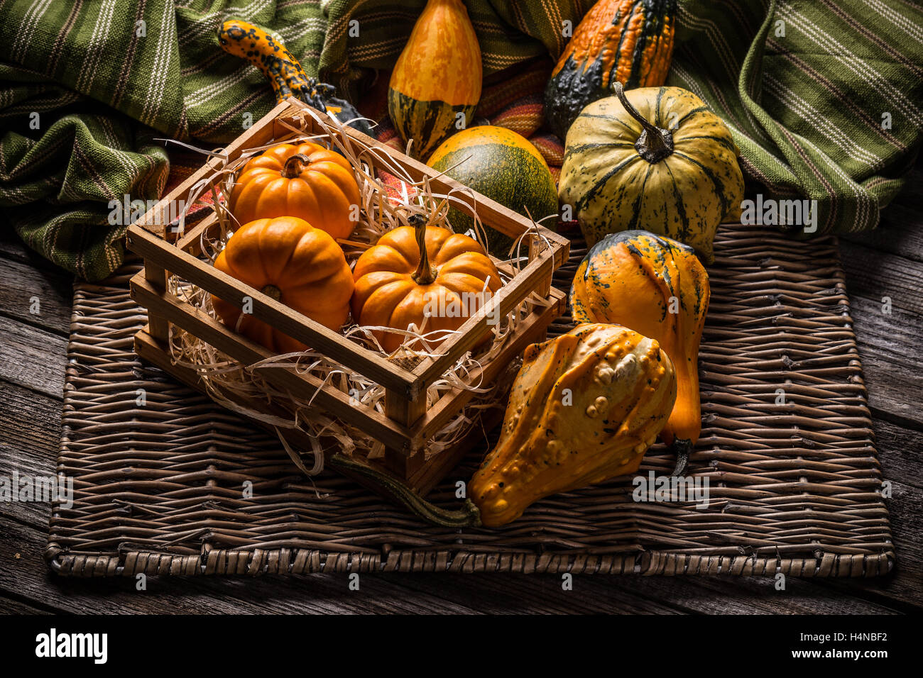 Decorative pumpkins collection on vintage style Stock Photo - Alamy