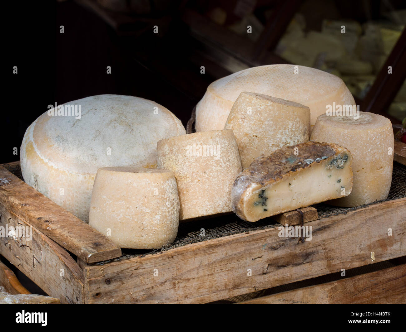 Group of Natural mountain cheeses made in the traditional way in ...