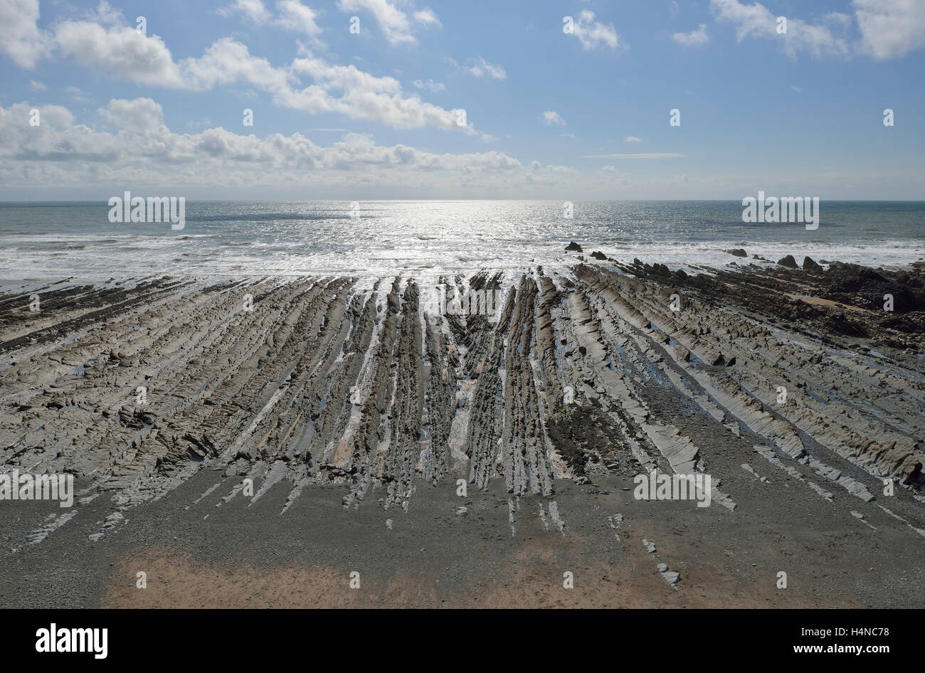 Sharp Dip in Folded Rock Strata lead out to Sea, Welcombe Mouth Beach ...