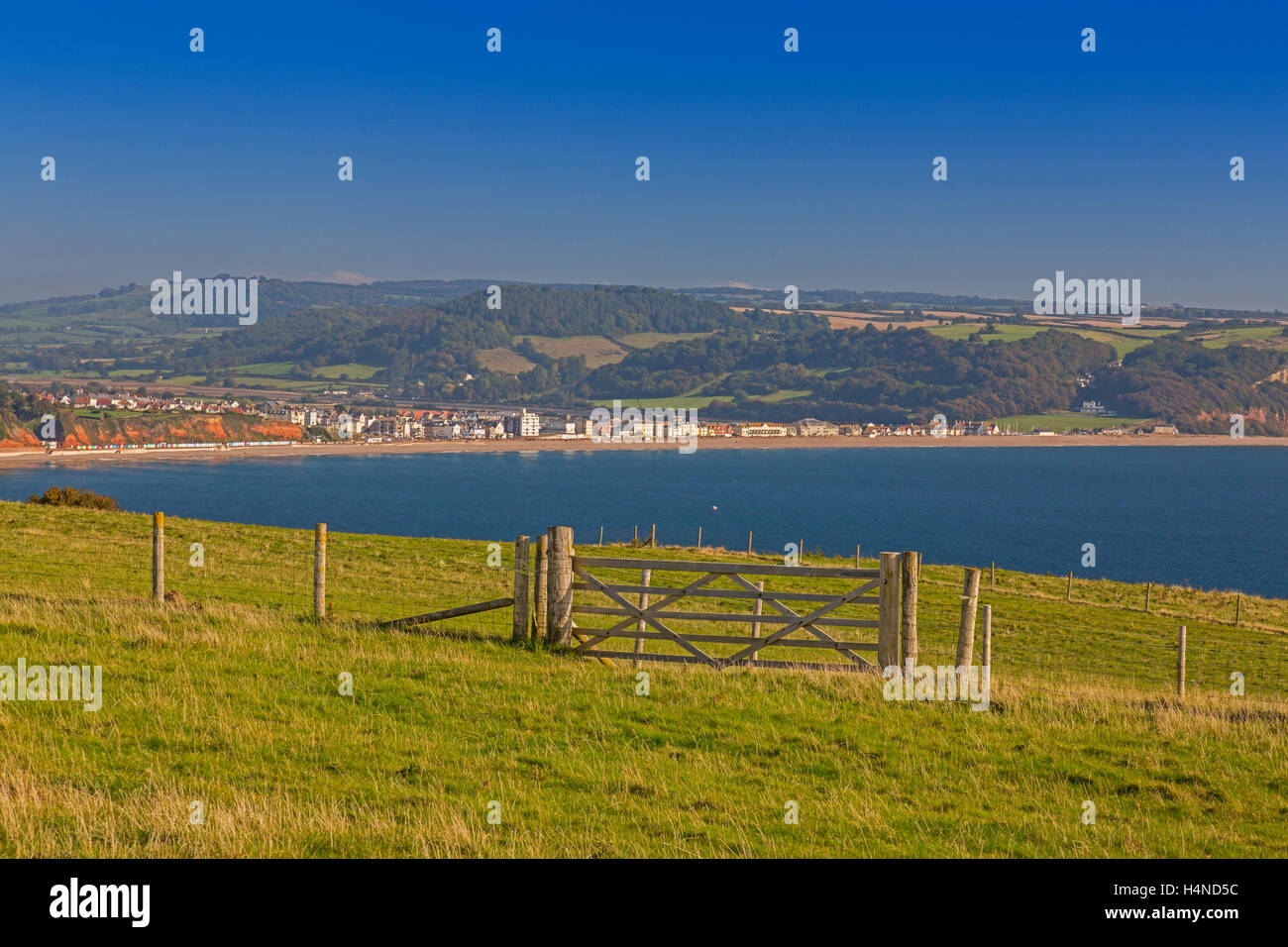 The seaside resort of Seaton from the SW Coast Path on the Jurassic ...