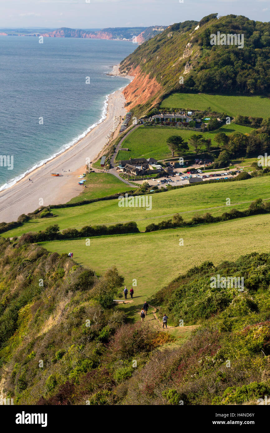 Walkers on the SW Coast Path below East Cliff near Branscombe on the ...
