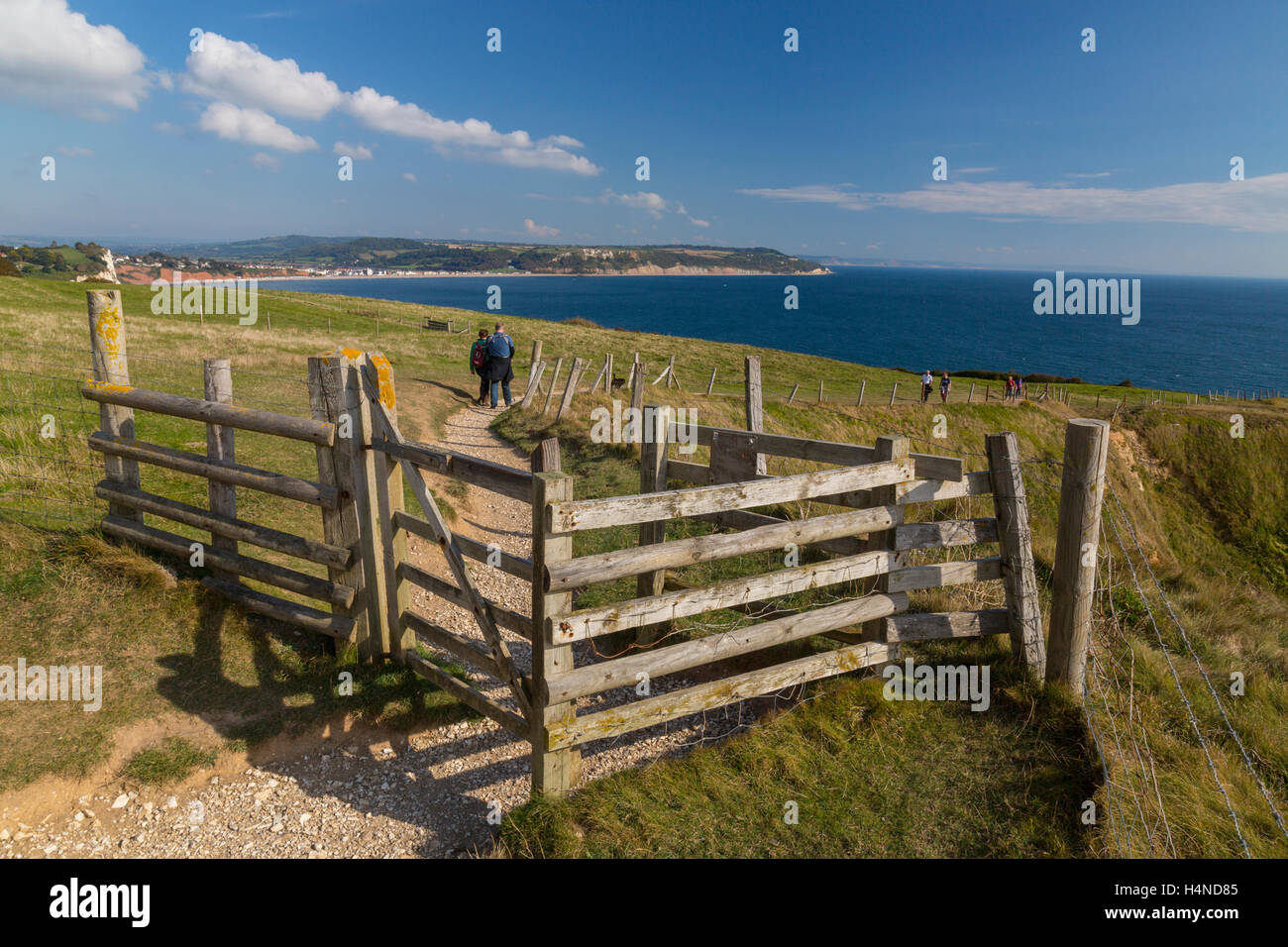 Walkers on the SW Coast Path at Beer Head on the Jurassic Coast of ...