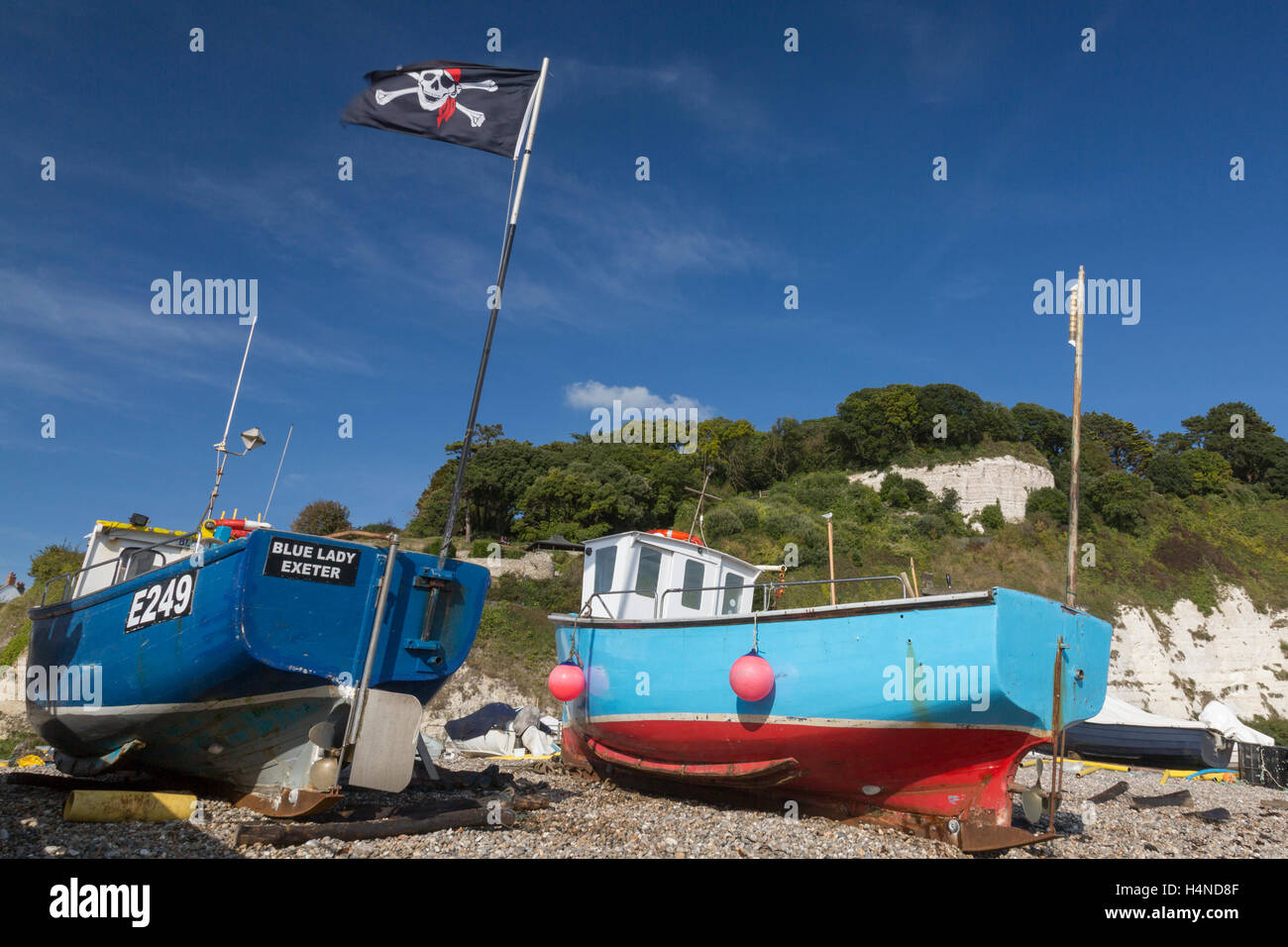 Colourful fishing boats hauled up on the pebble beach at Beer on the ...