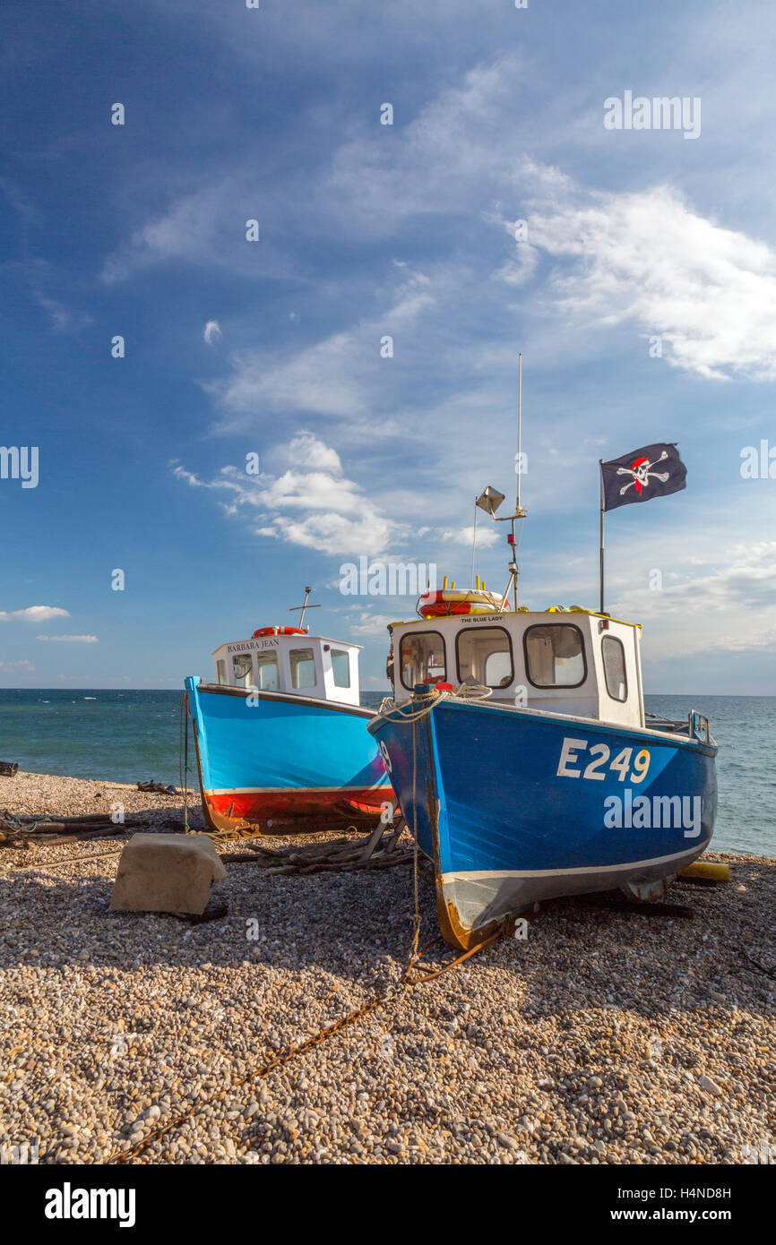 Colourful fishing boats hauled up on the pebble beach at Beer on the ...