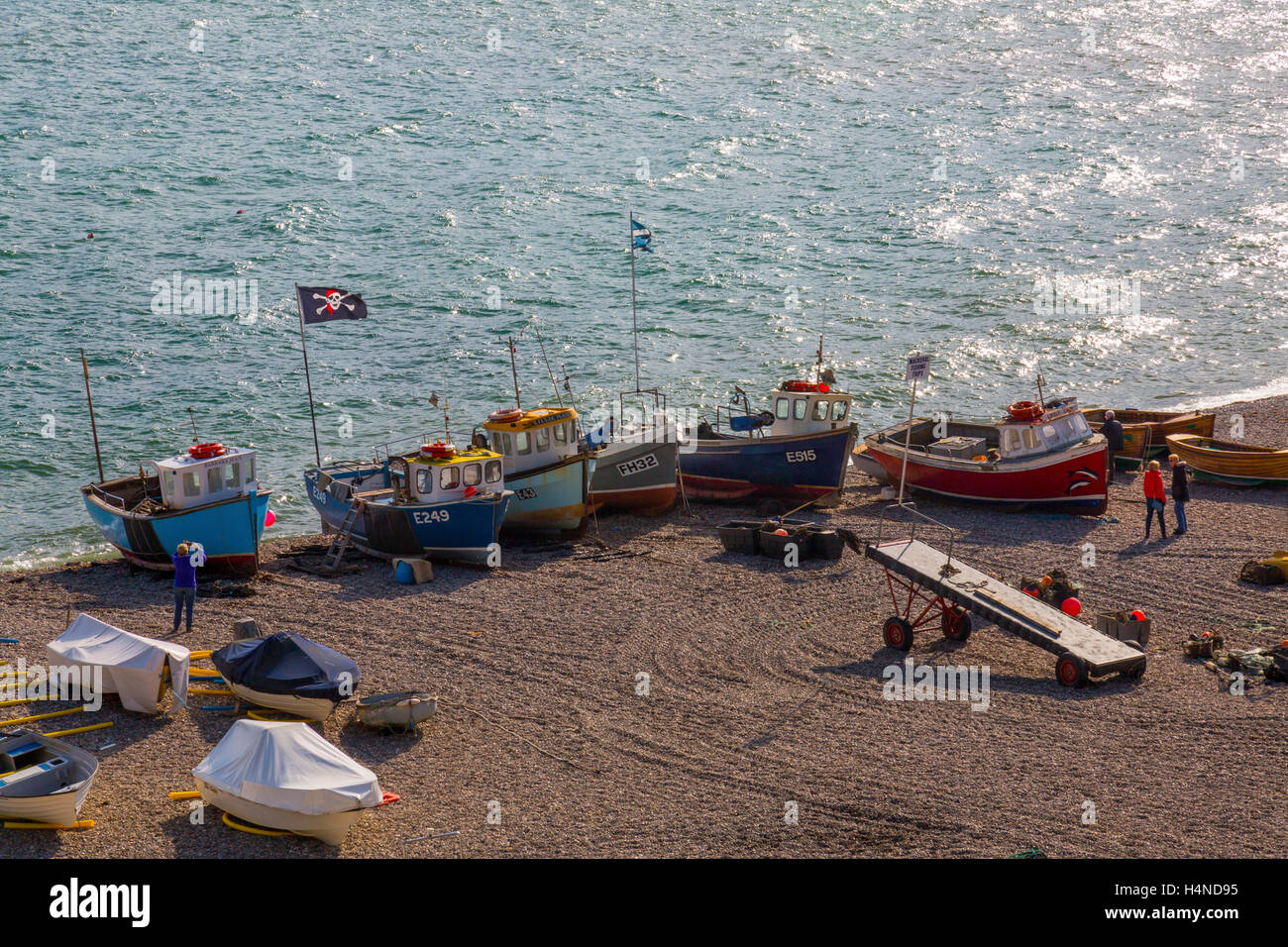 Colourful fishing boats hauled up on the pebble beach at Beer on the ...