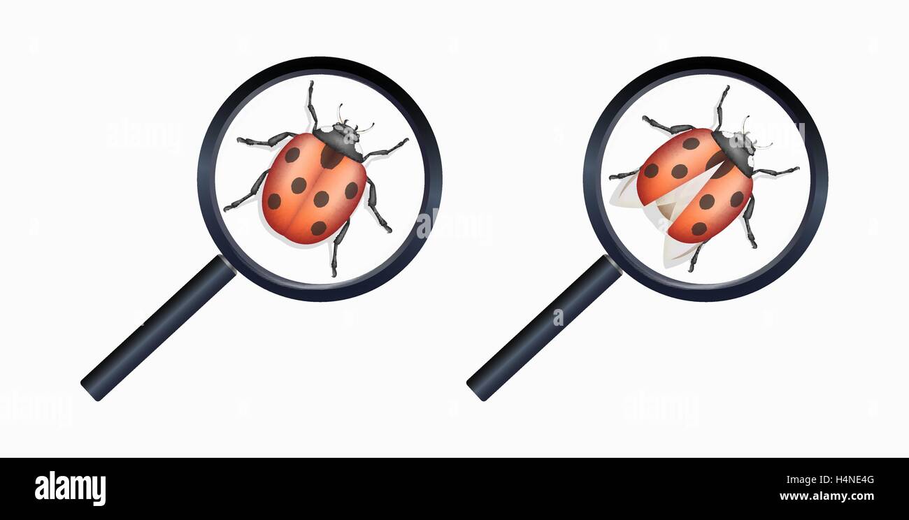 Hand magnifying glass security Stock Vector Images - Alamy