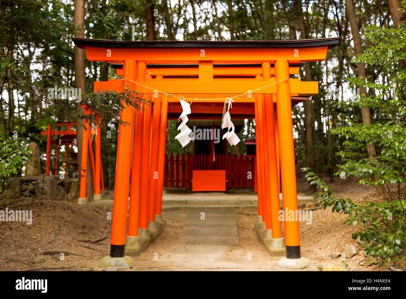 Shinto shrine gates Stock Photo - Alamy