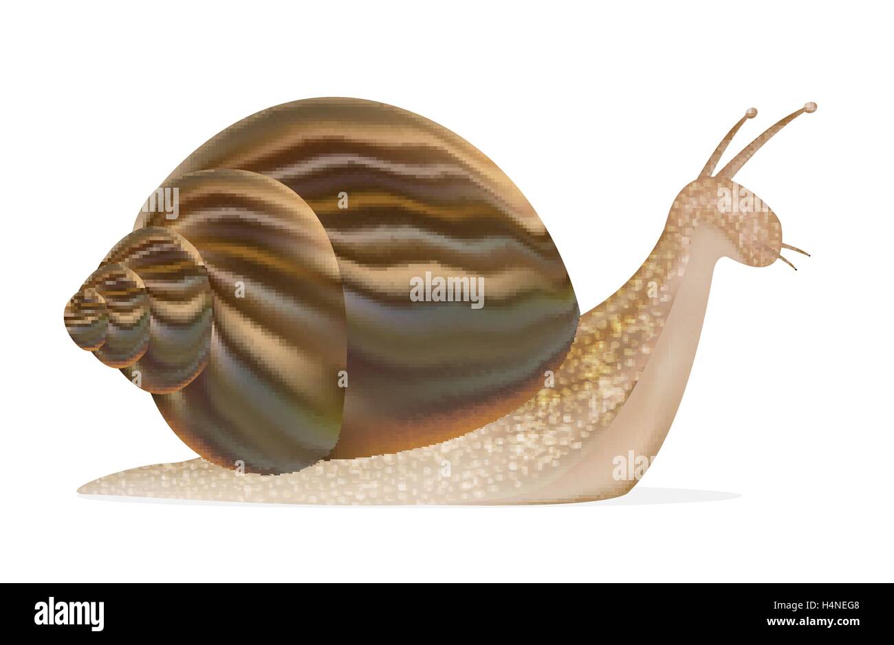 a snail vector Stock Vector Image & Art - Alamy