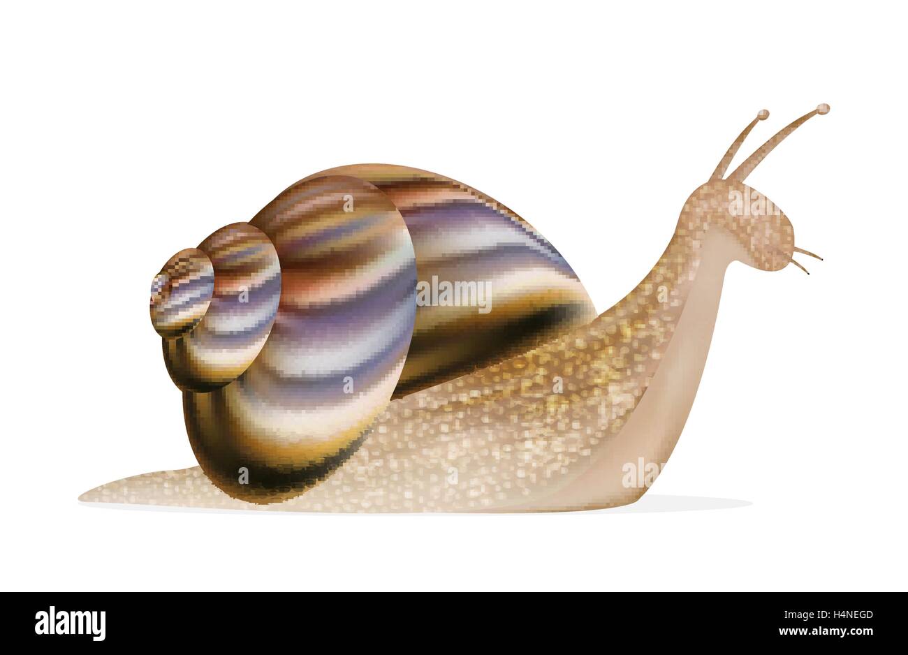 a snail vector Stock Vector Image & Art - Alamy