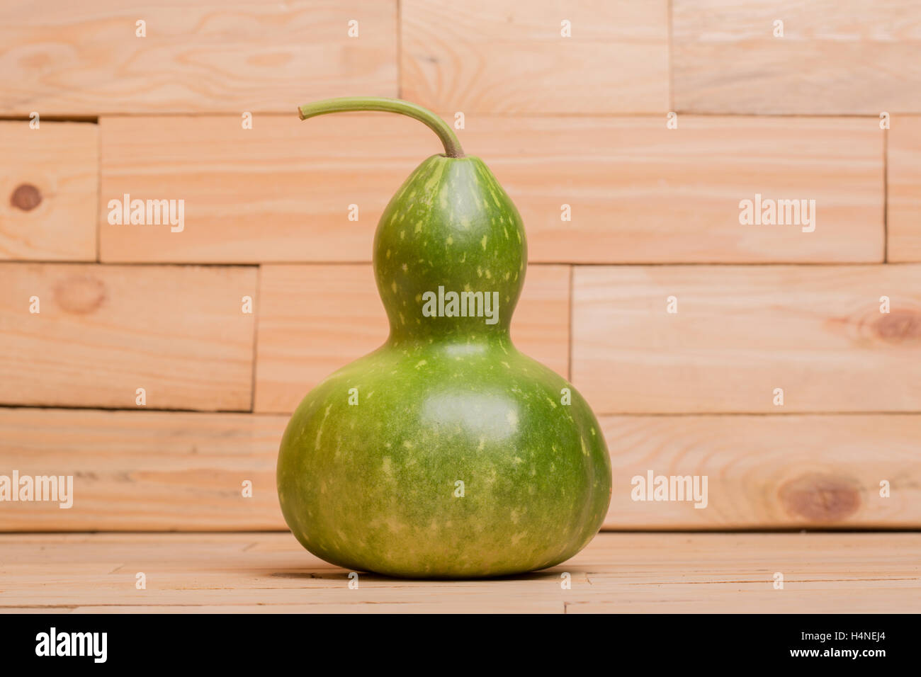 green calabash or Chinese Bottle Gourd is used by many cultures around ...