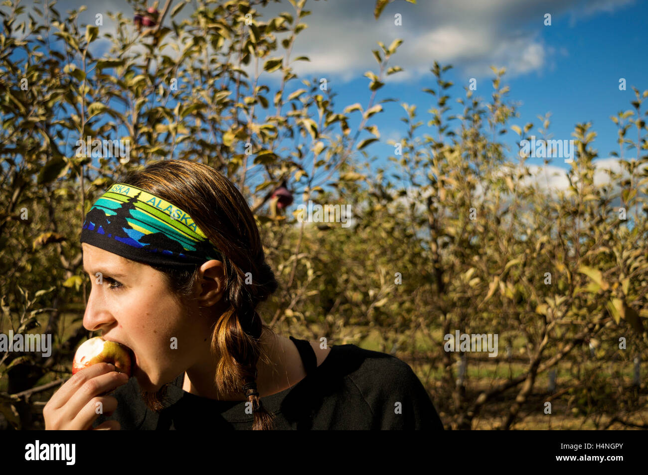 Enjoying the fruits of labor Stock Photo - Alamy