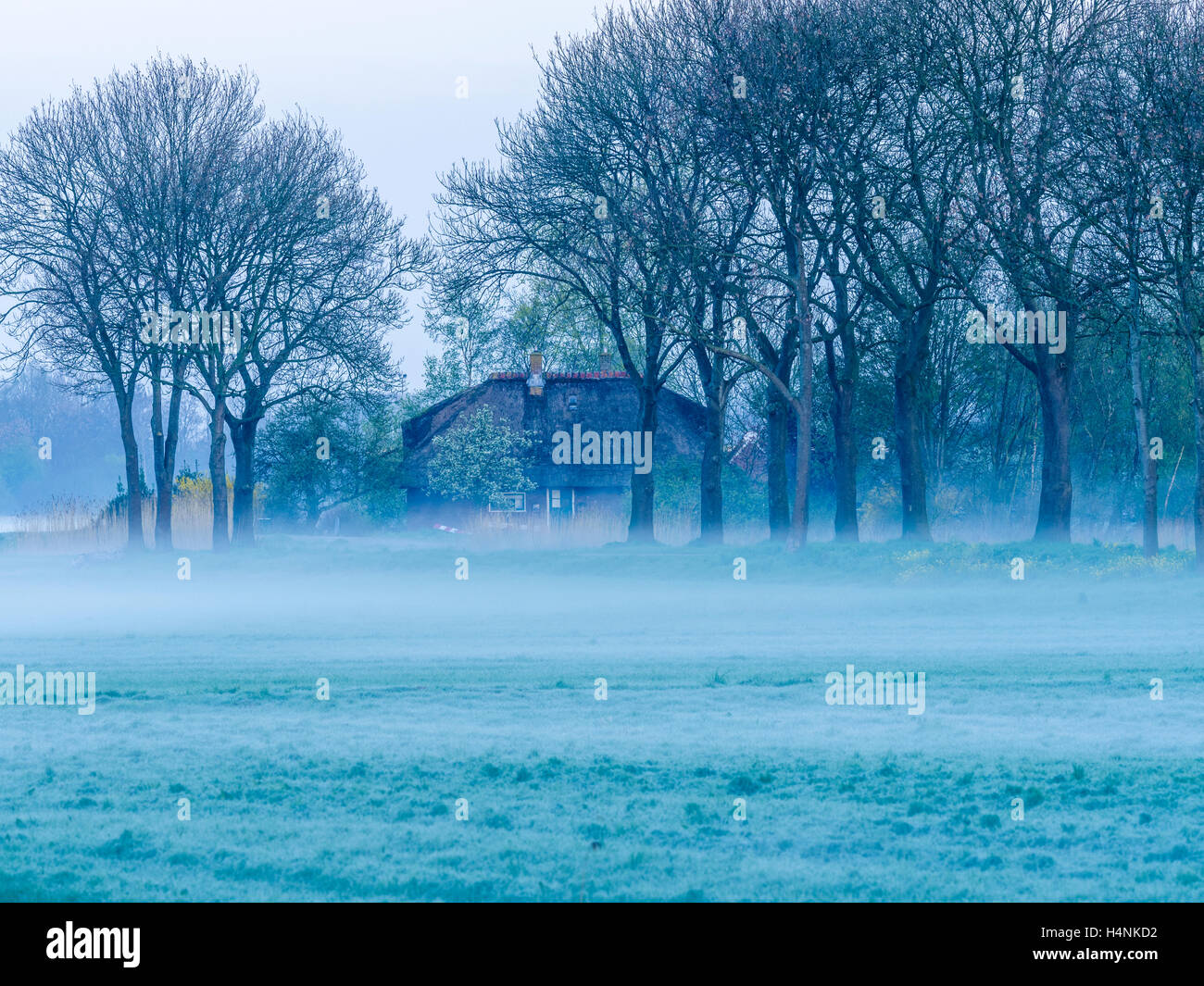 Farm and pasture, Netherlands Stock Photo - Alamy