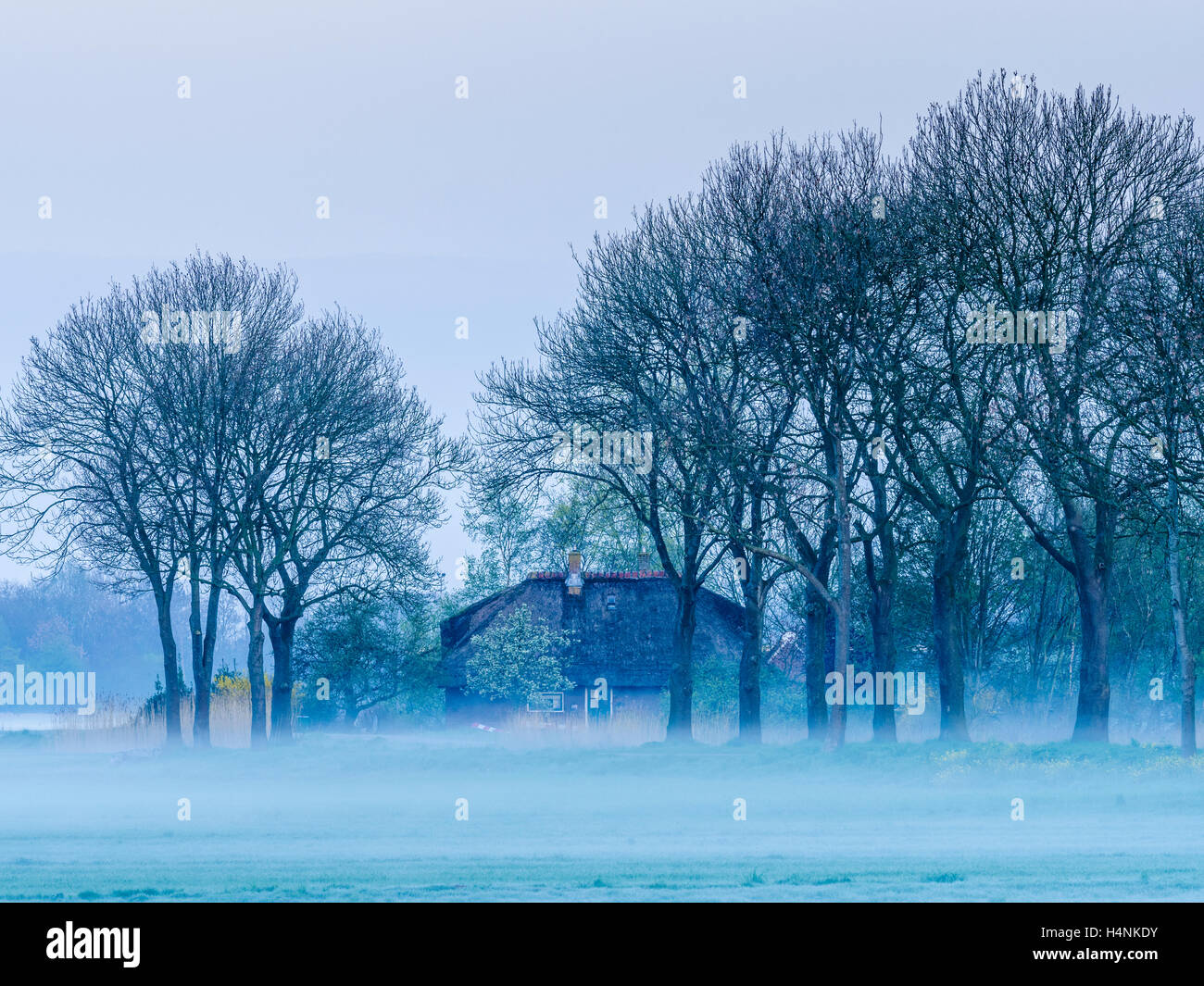 Farm and pasture, Netherlands Stock Photo - Alamy