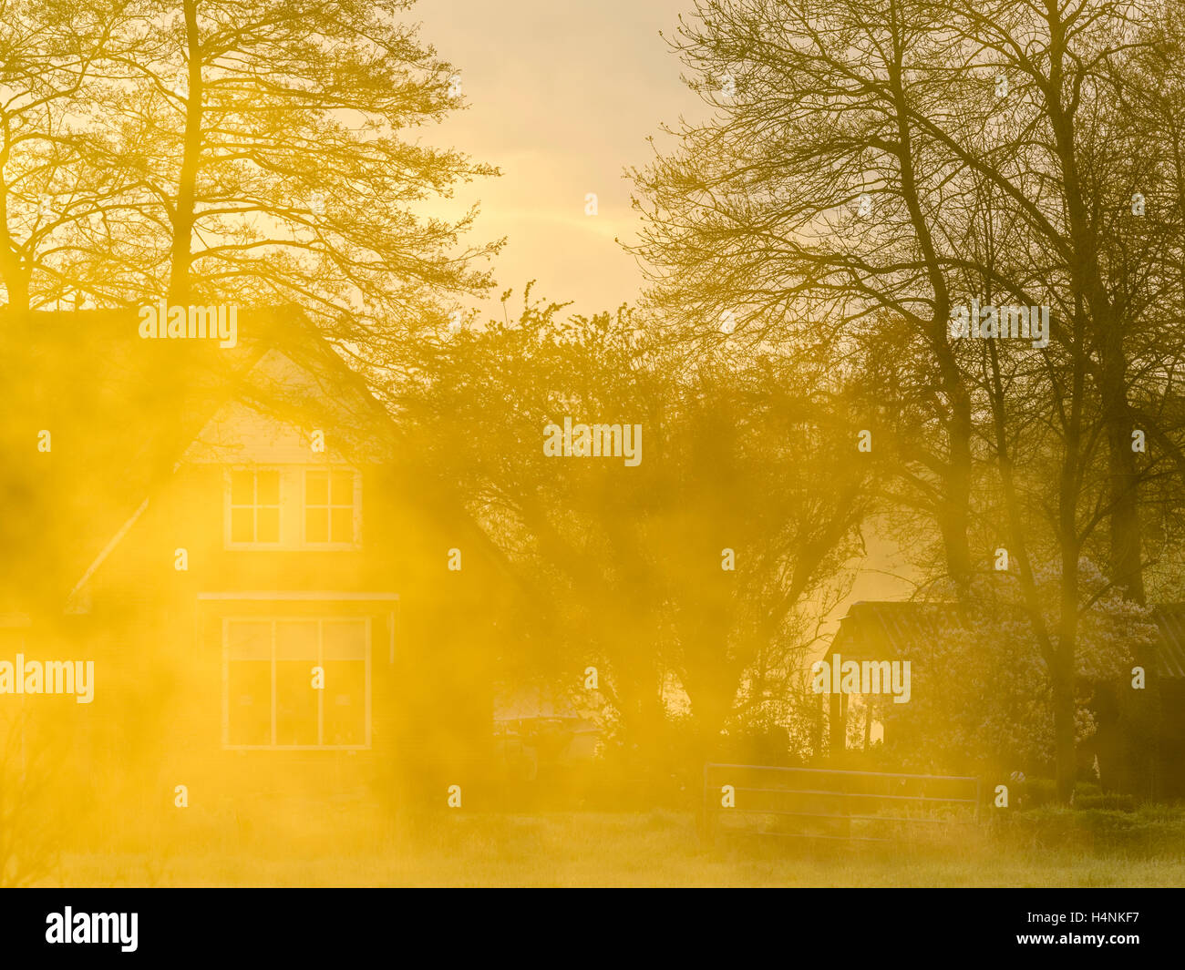 Farm and pasture, Netherlands Stock Photo - Alamy