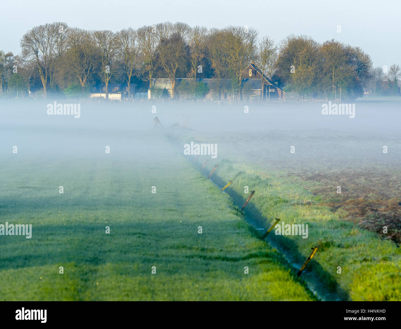 Farm and pasture, Netherlands Stock Photo - Alamy