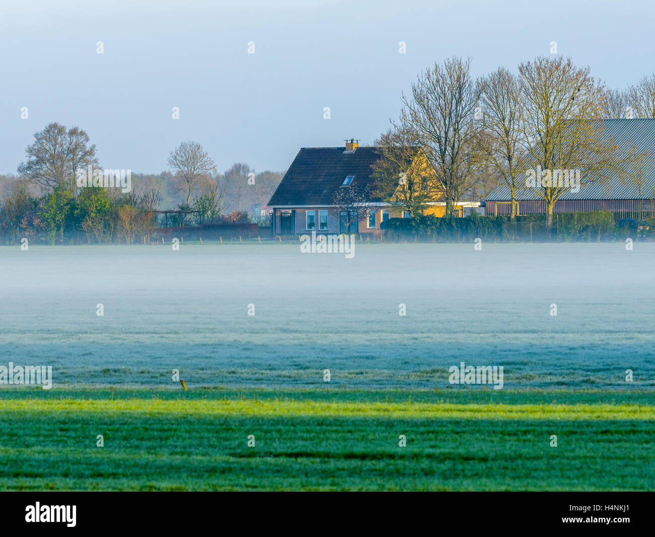 Farm and pasture, Netherlands Stock Photo - Alamy