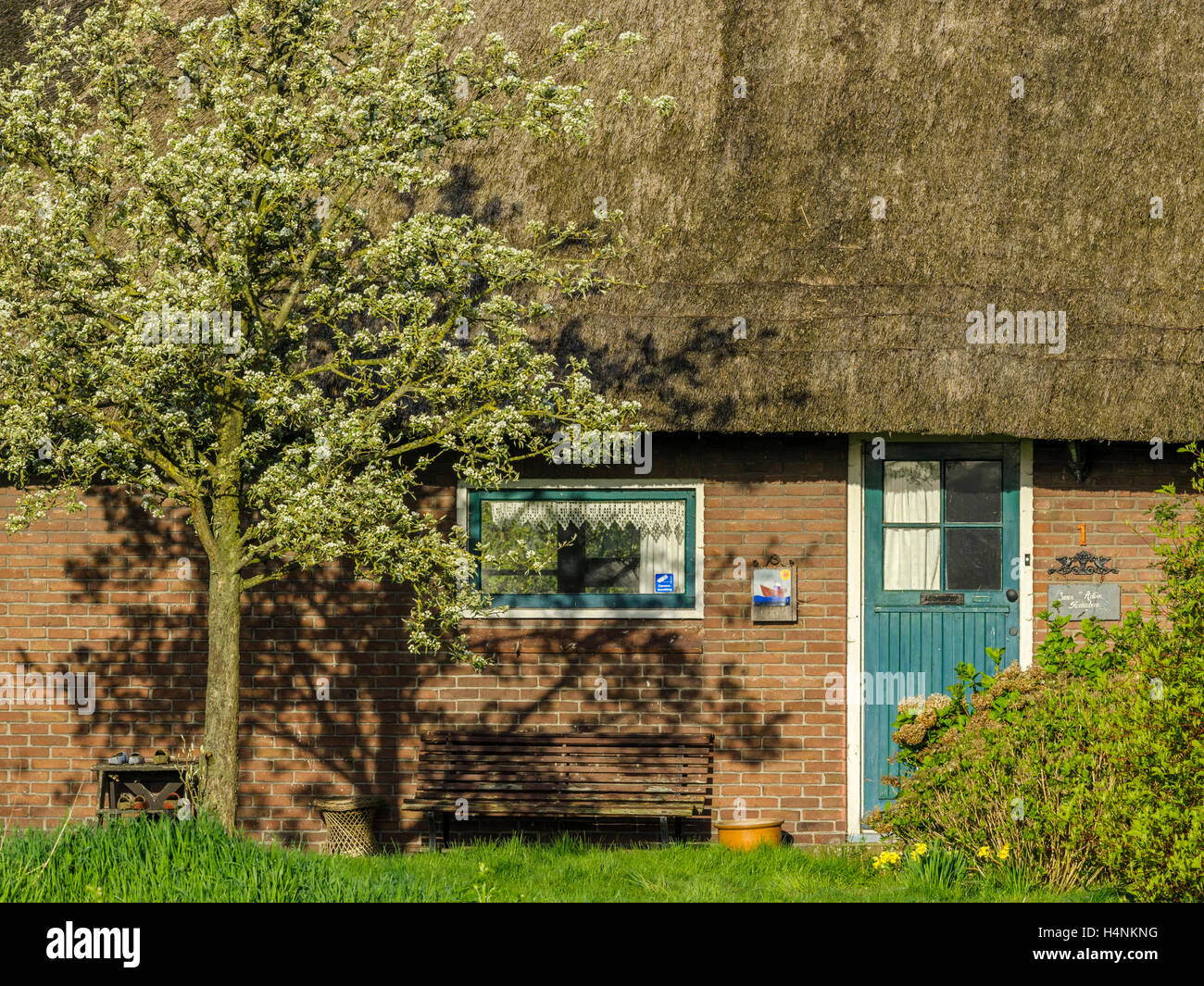 Farm and pasture, Netherlands Stock Photo - Alamy