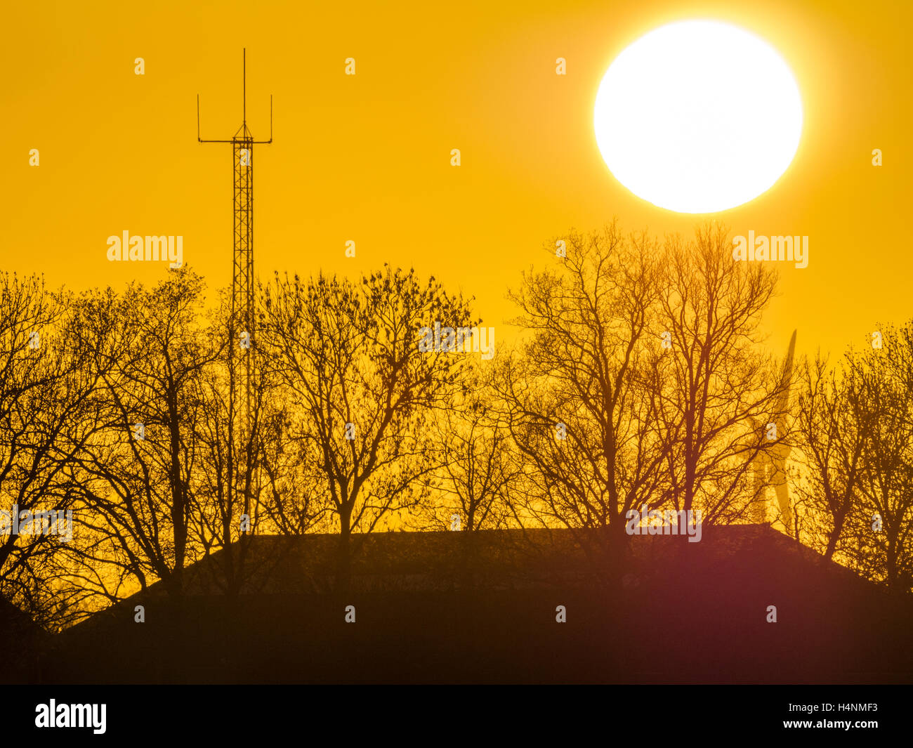 Farm and pasture, Netherlands Stock Photo - Alamy