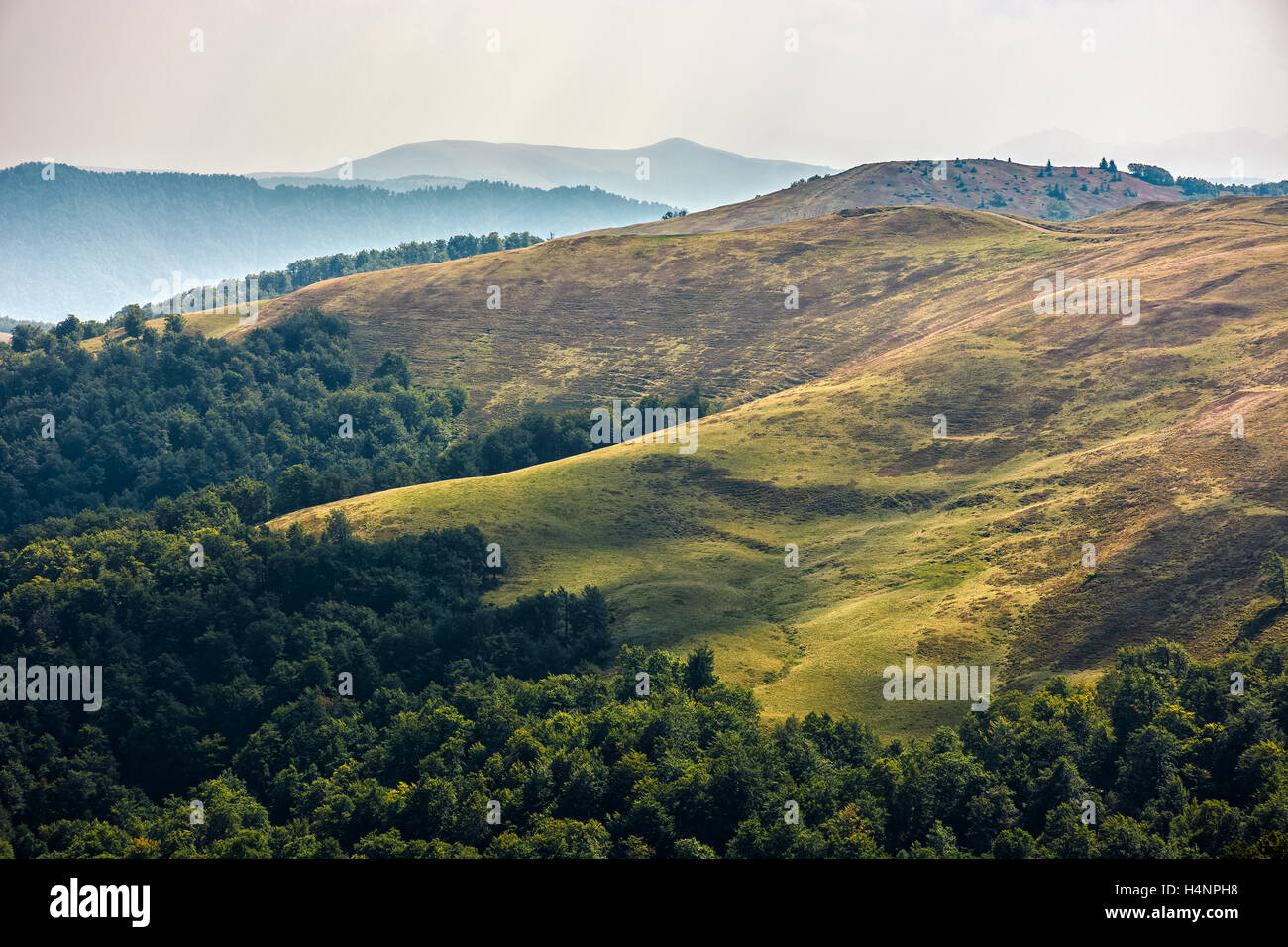 Steep forest hill hi-res stock photography and images - Alamy