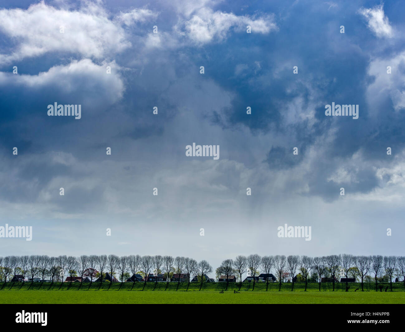 Farm and pasture, Netherlands Stock Photo - Alamy