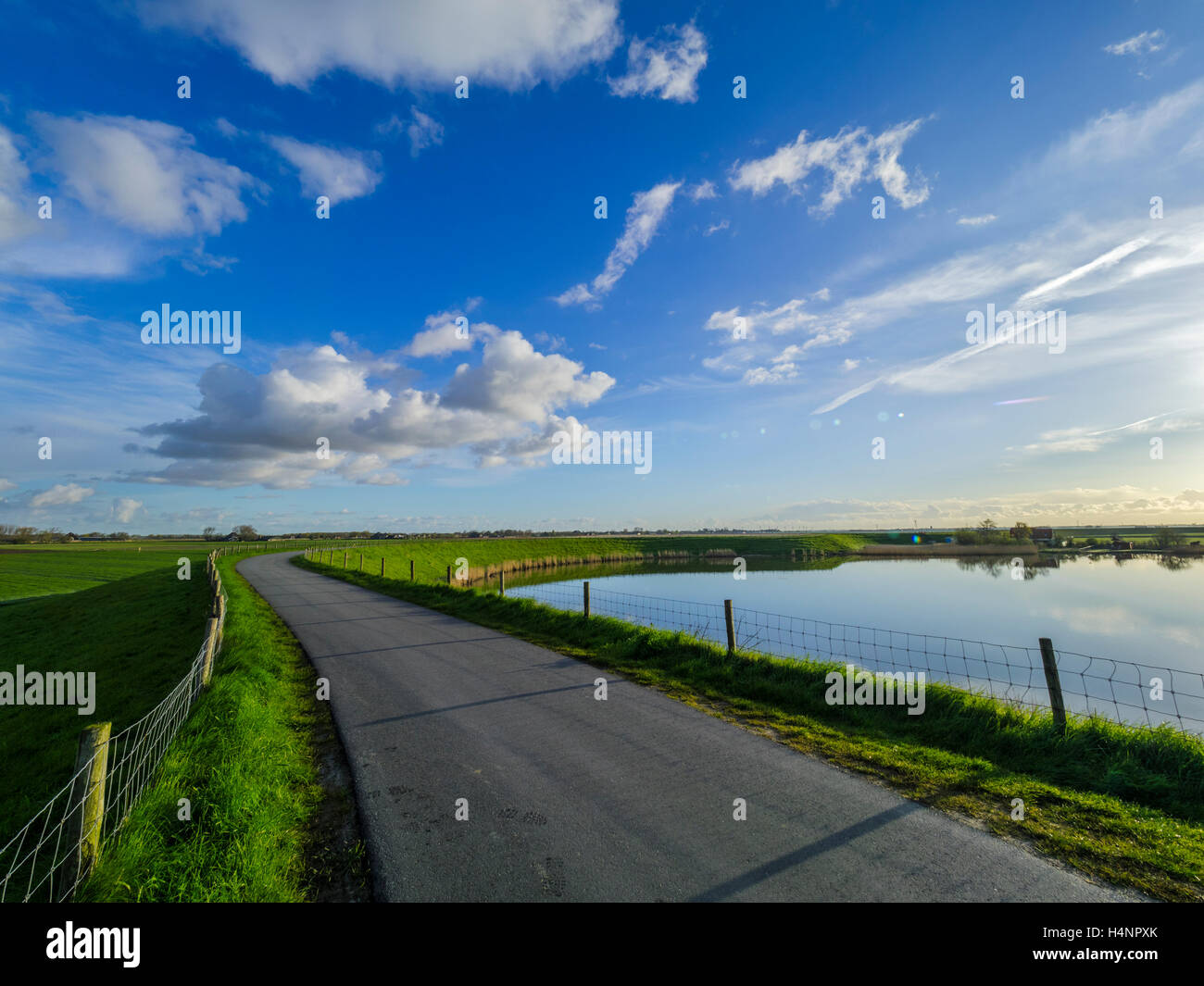Farm and pasture, Netherlands Stock Photo - Alamy